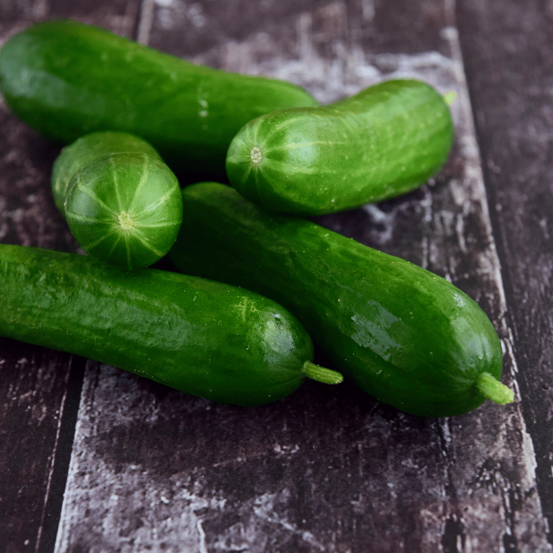 Concombres - Copanier