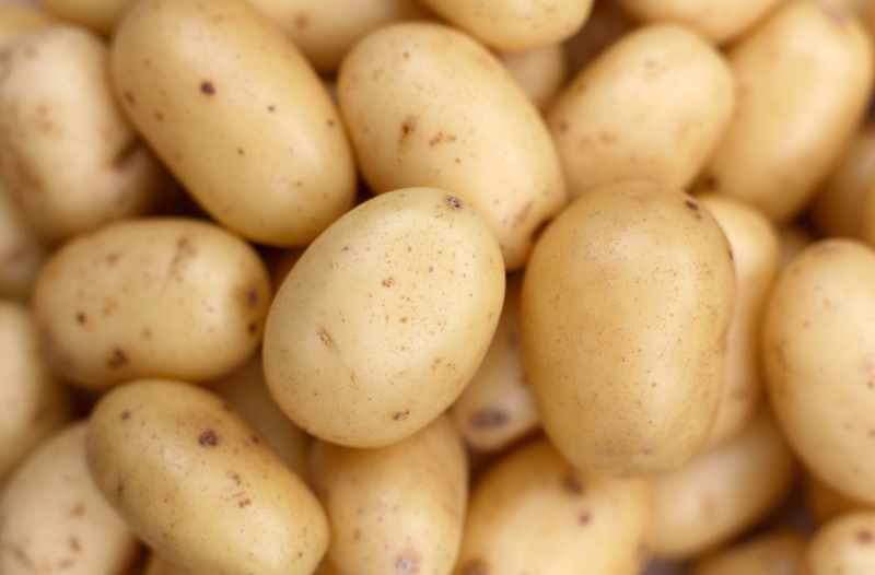 Pomme de Terre Nouvelle - Copanier